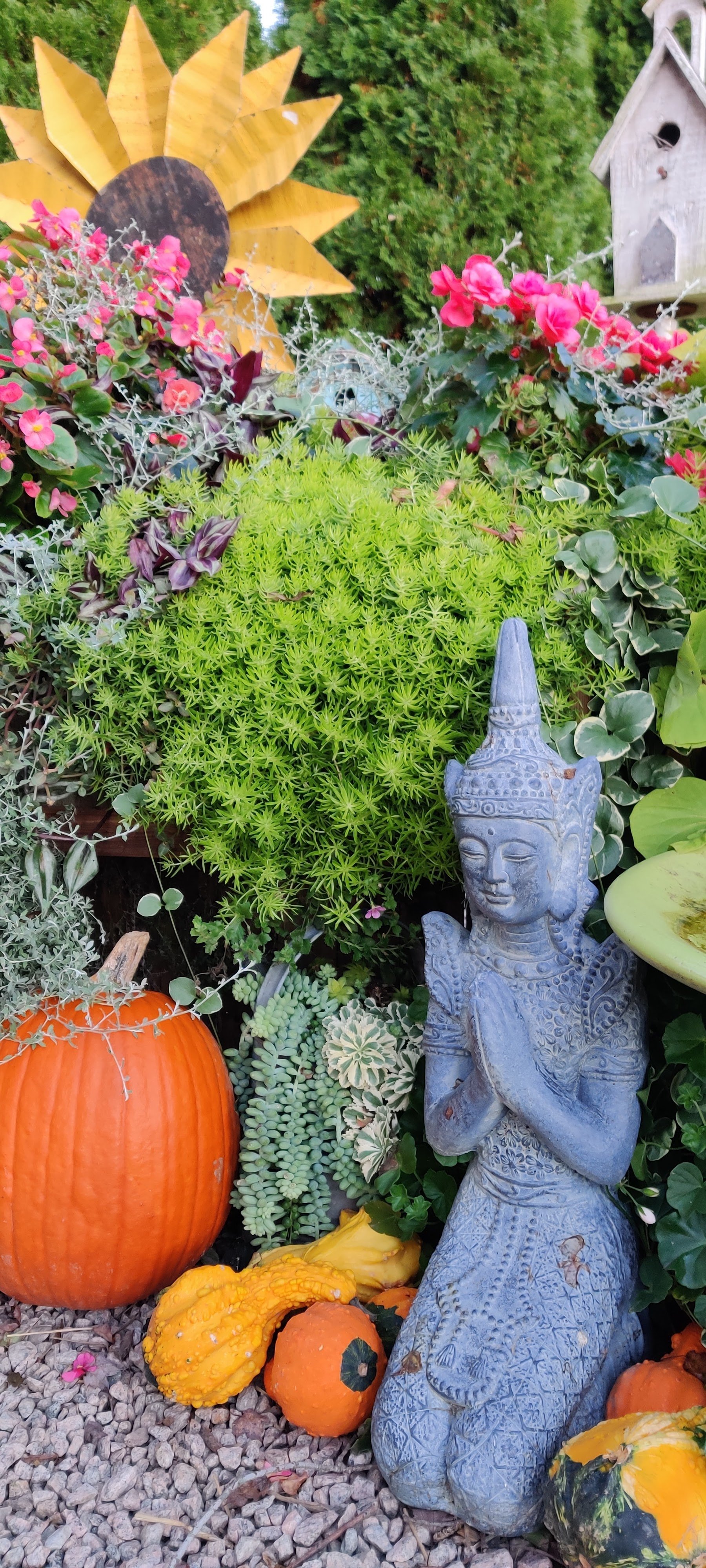 Manfredi Farms: Fresh Produce & Family Experiences in Westerly, RI