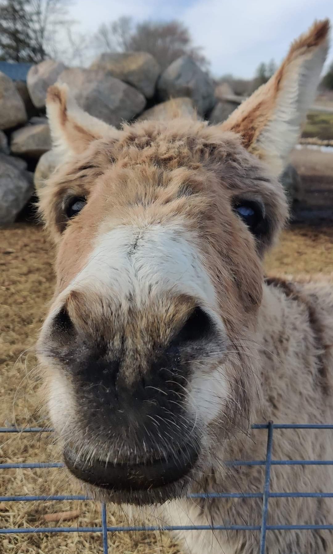 Manfredi Farms: Fresh Produce & Family Experiences in Westerly, RI