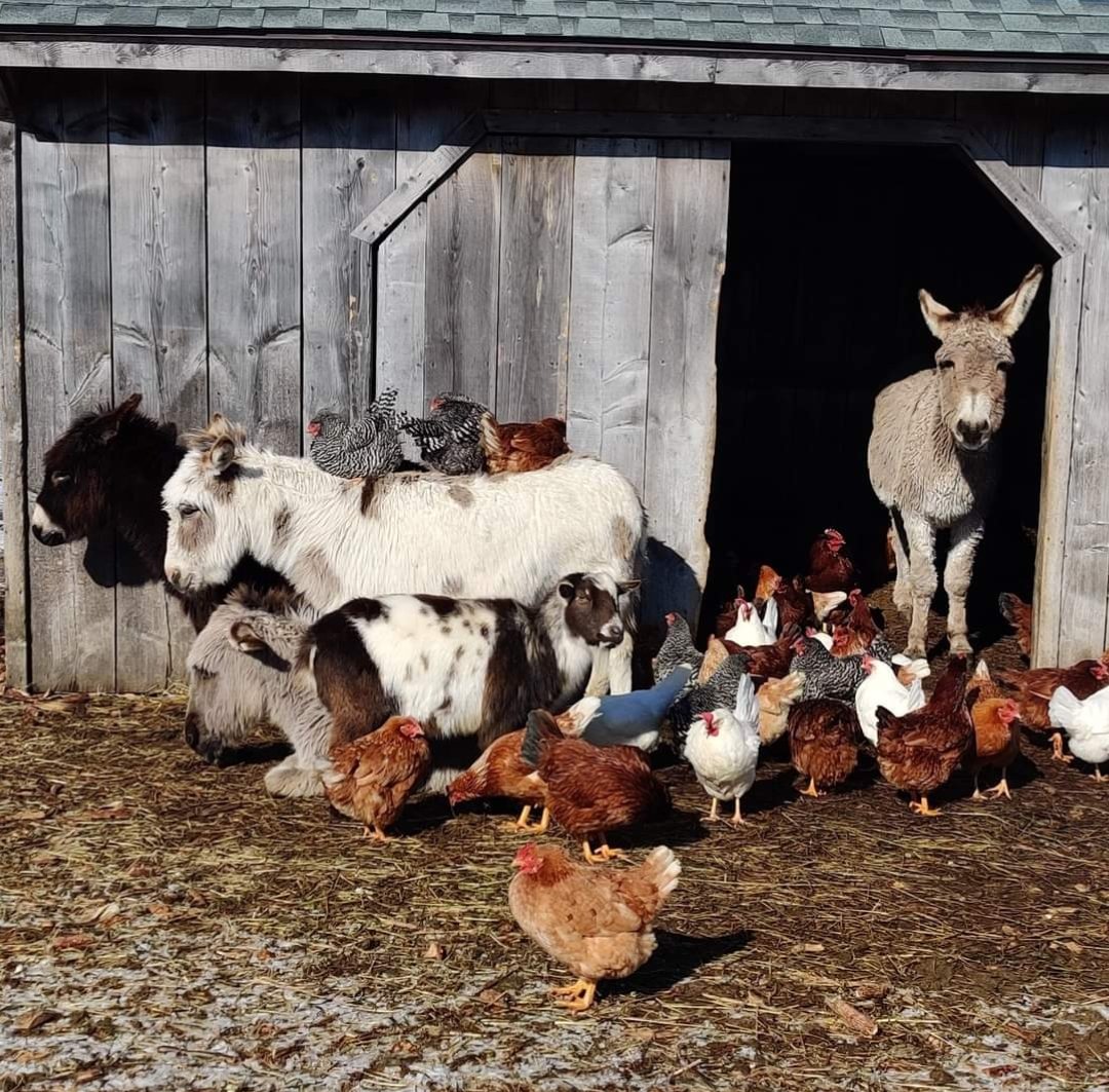 Gallery | Manfredi Farms - Westerly, RI