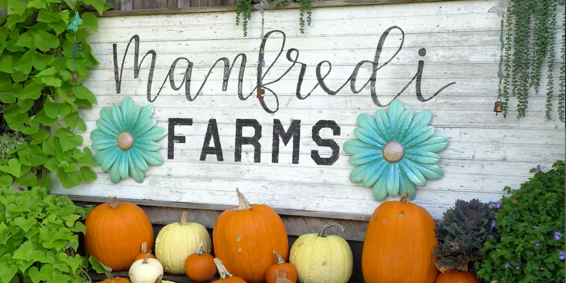 Manfredi Farms: Fresh Produce & Family Experiences in Westerly, RI